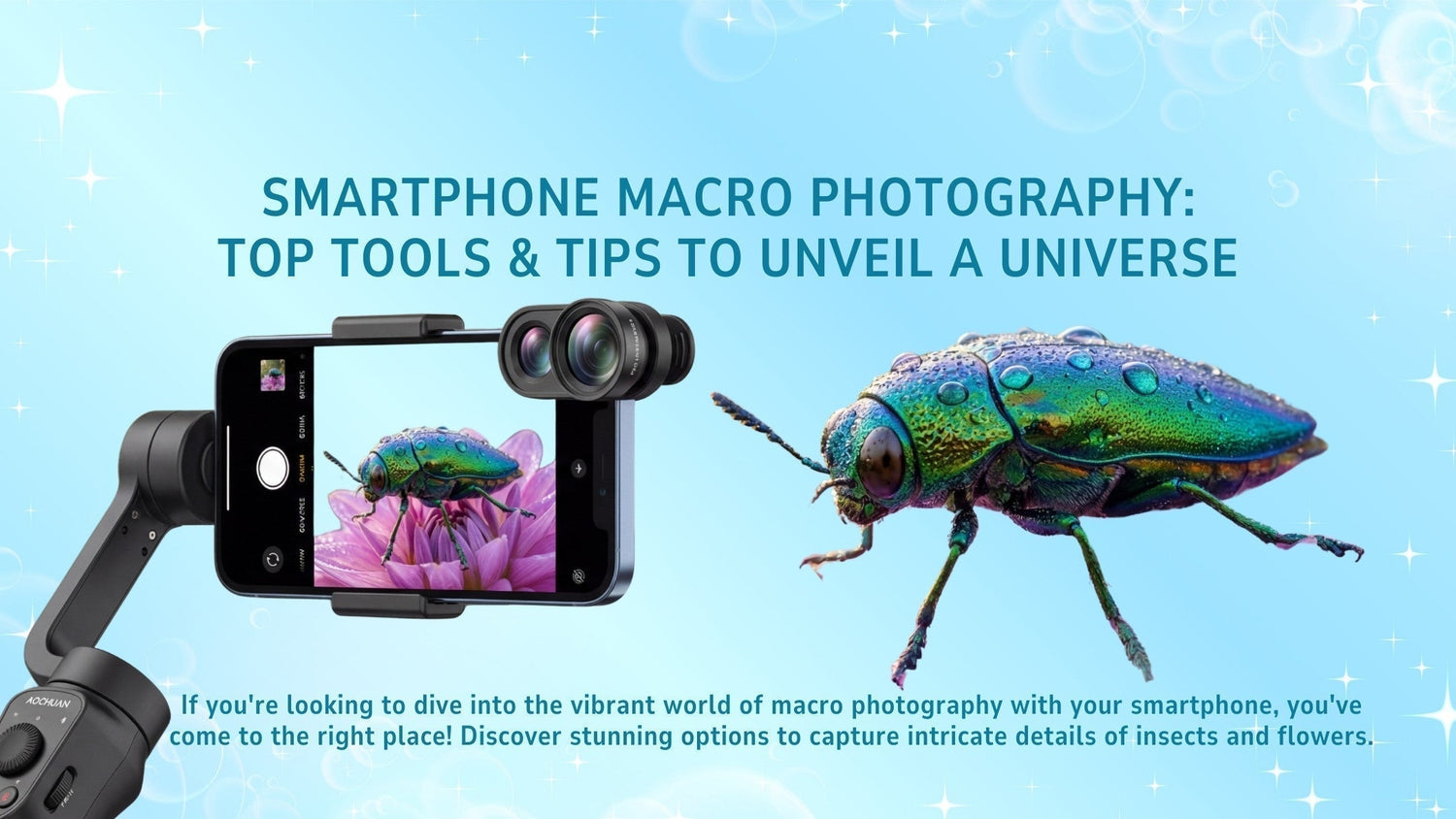 Top 5 Smartphone Macro Lens Kits (Reviewed) for Bug & Flower Photos